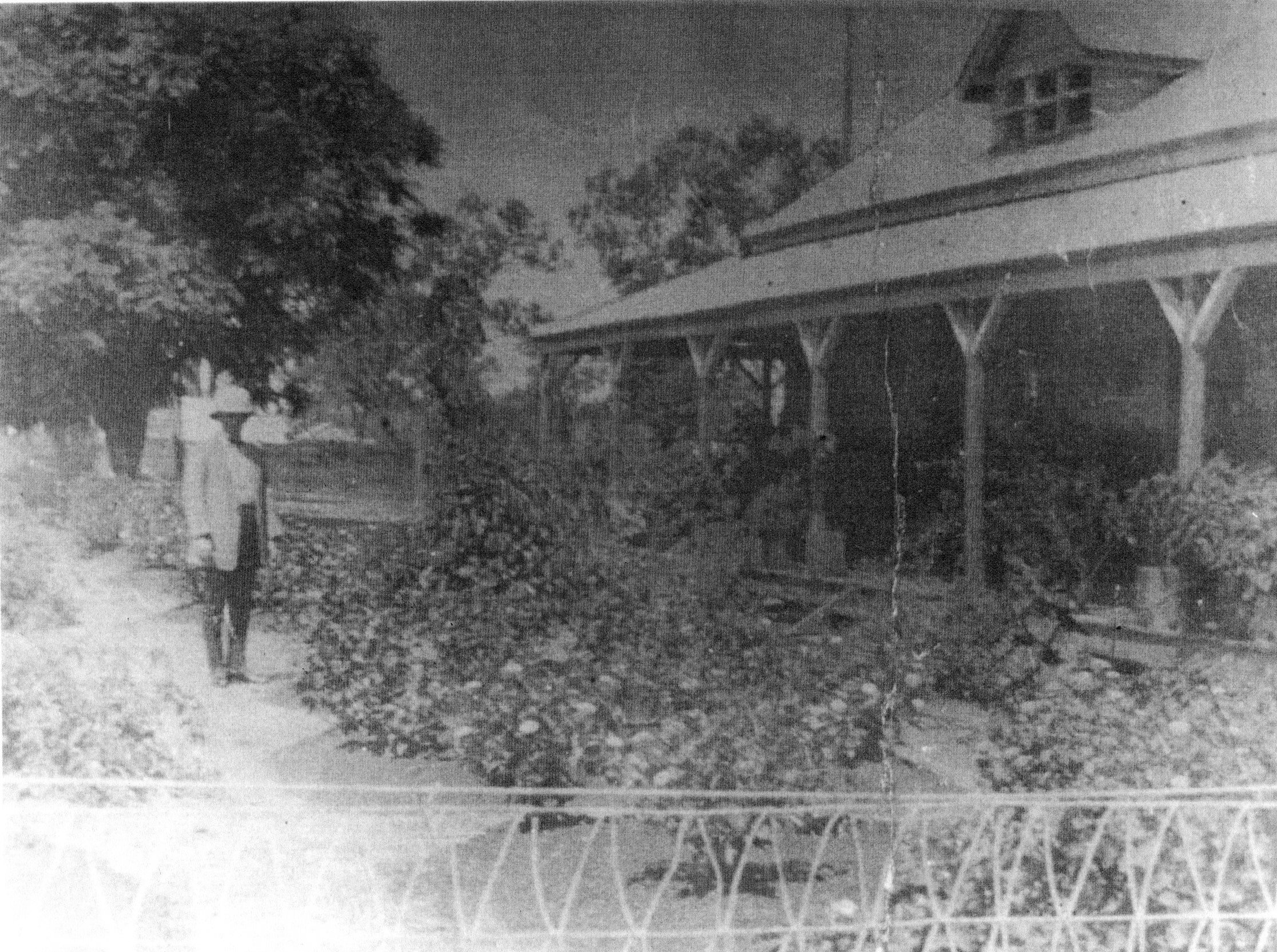 Comet State School – Central Queensland Highlands