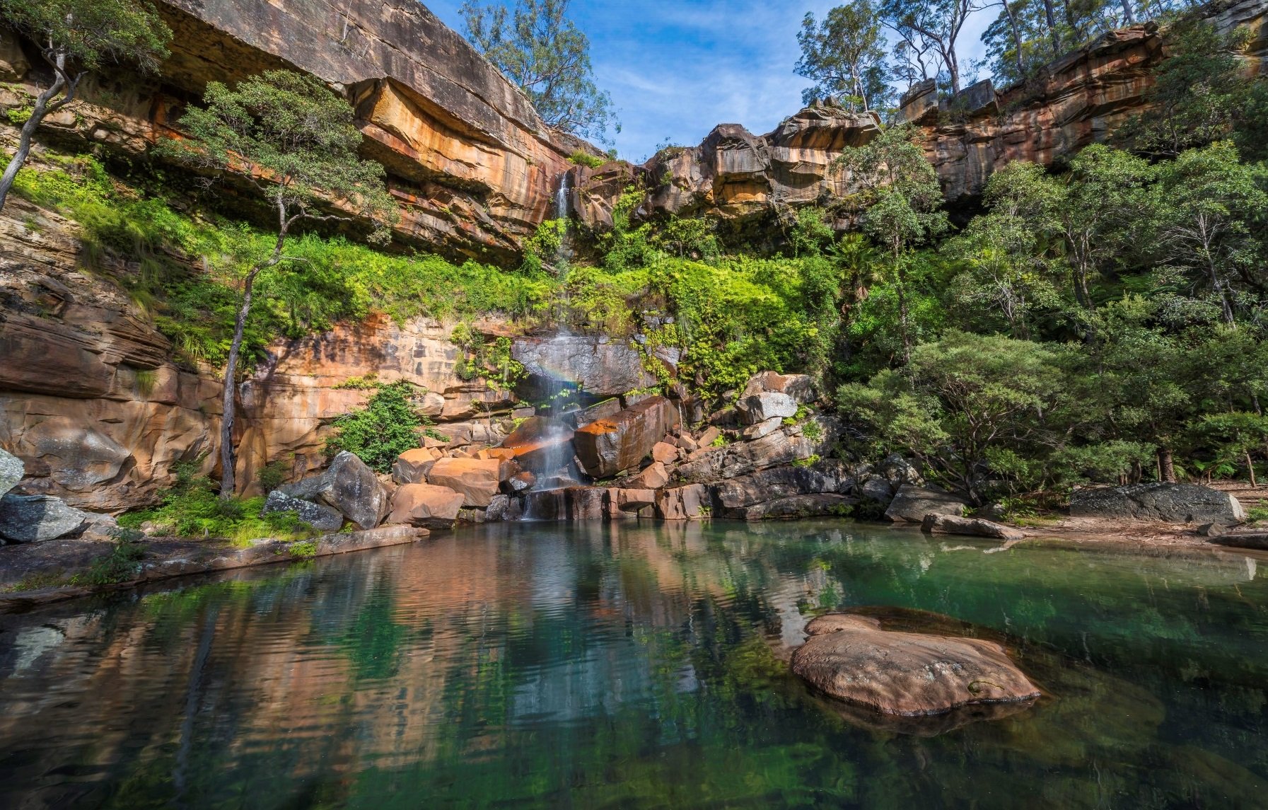 Blackdown Tableland - Central Queensland Highlands