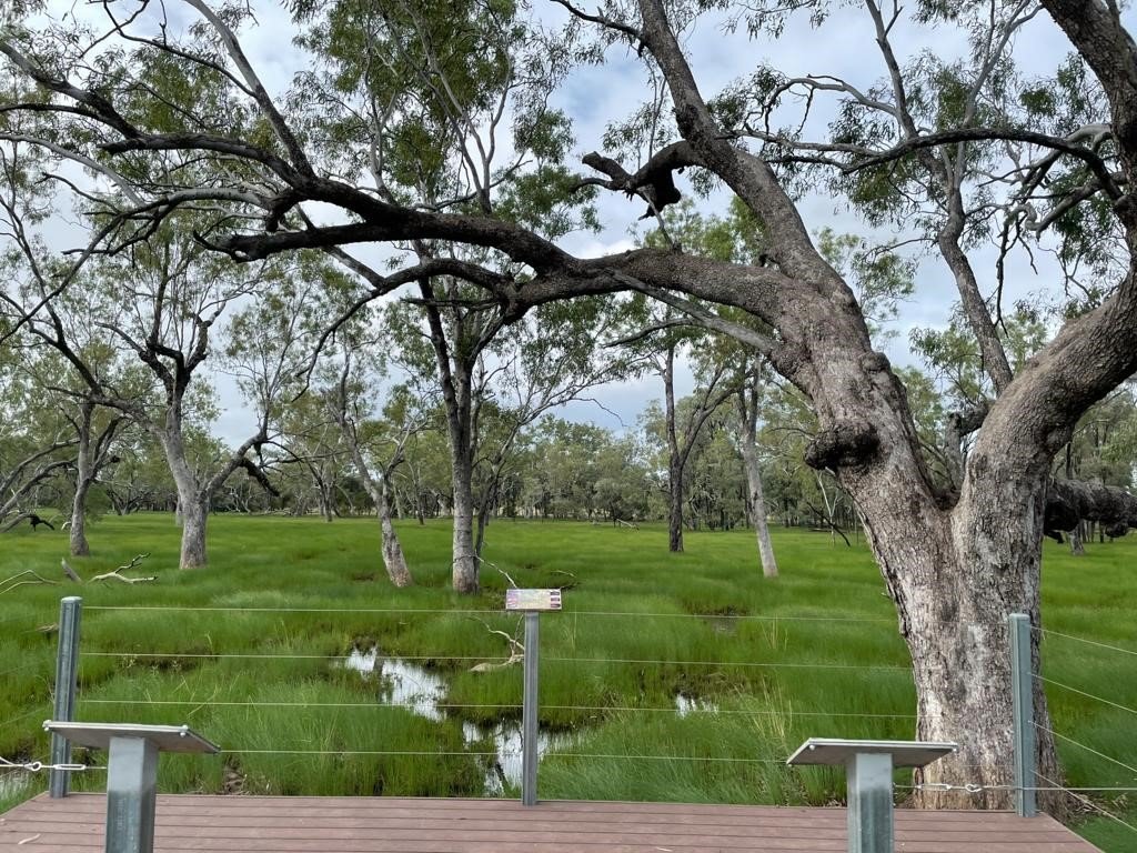 Sapphire Gemfields Wetland Reserve - Central Queensland Highlands