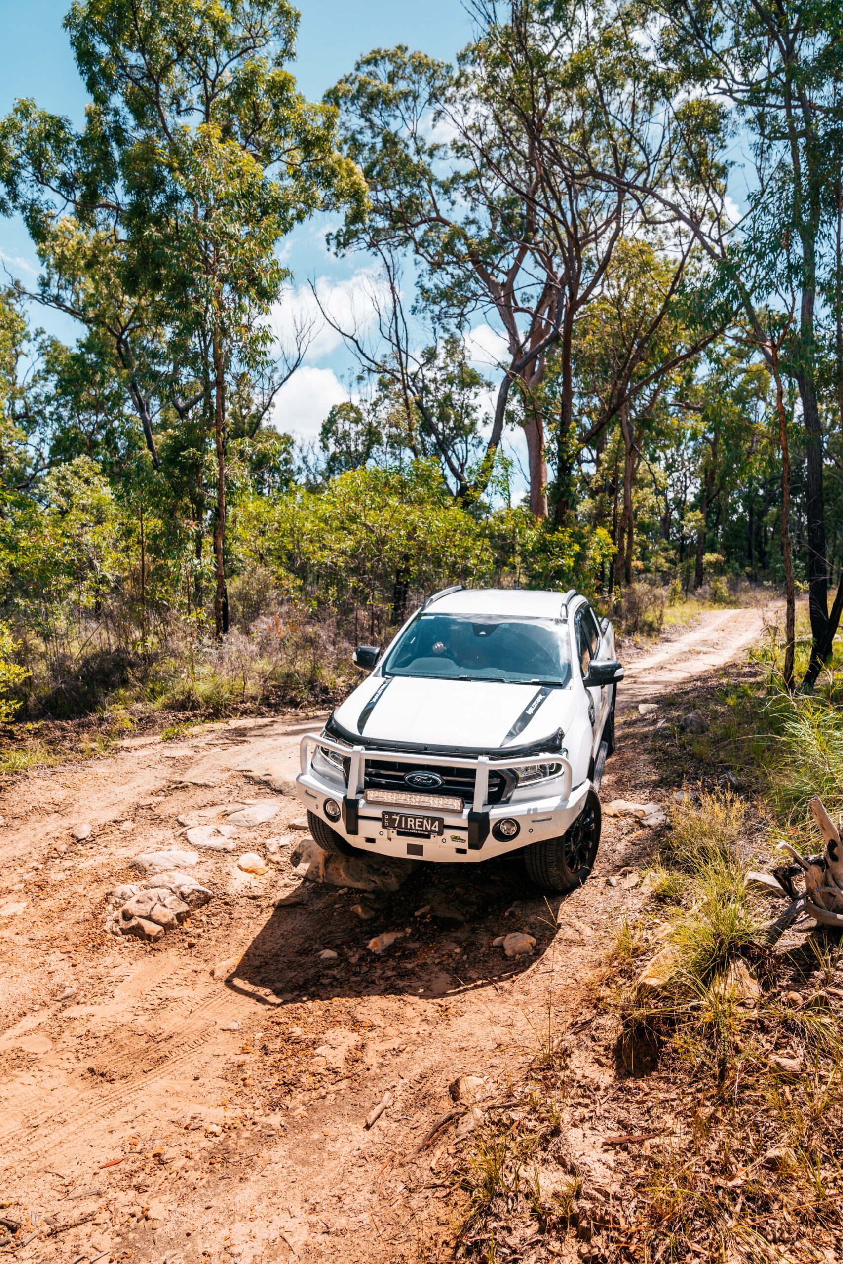 Blackdown Tableland - Central Queensland Highlands