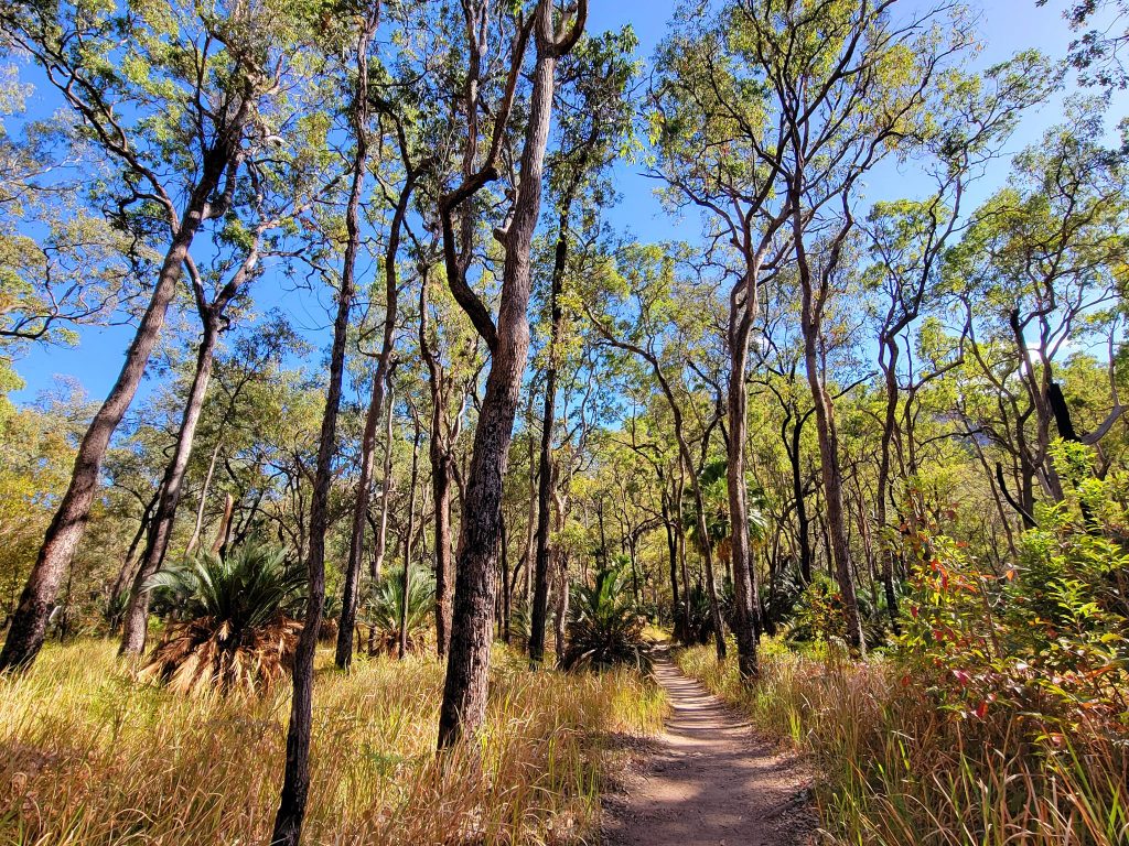 Carnarvon Great Walk: Planning Guide